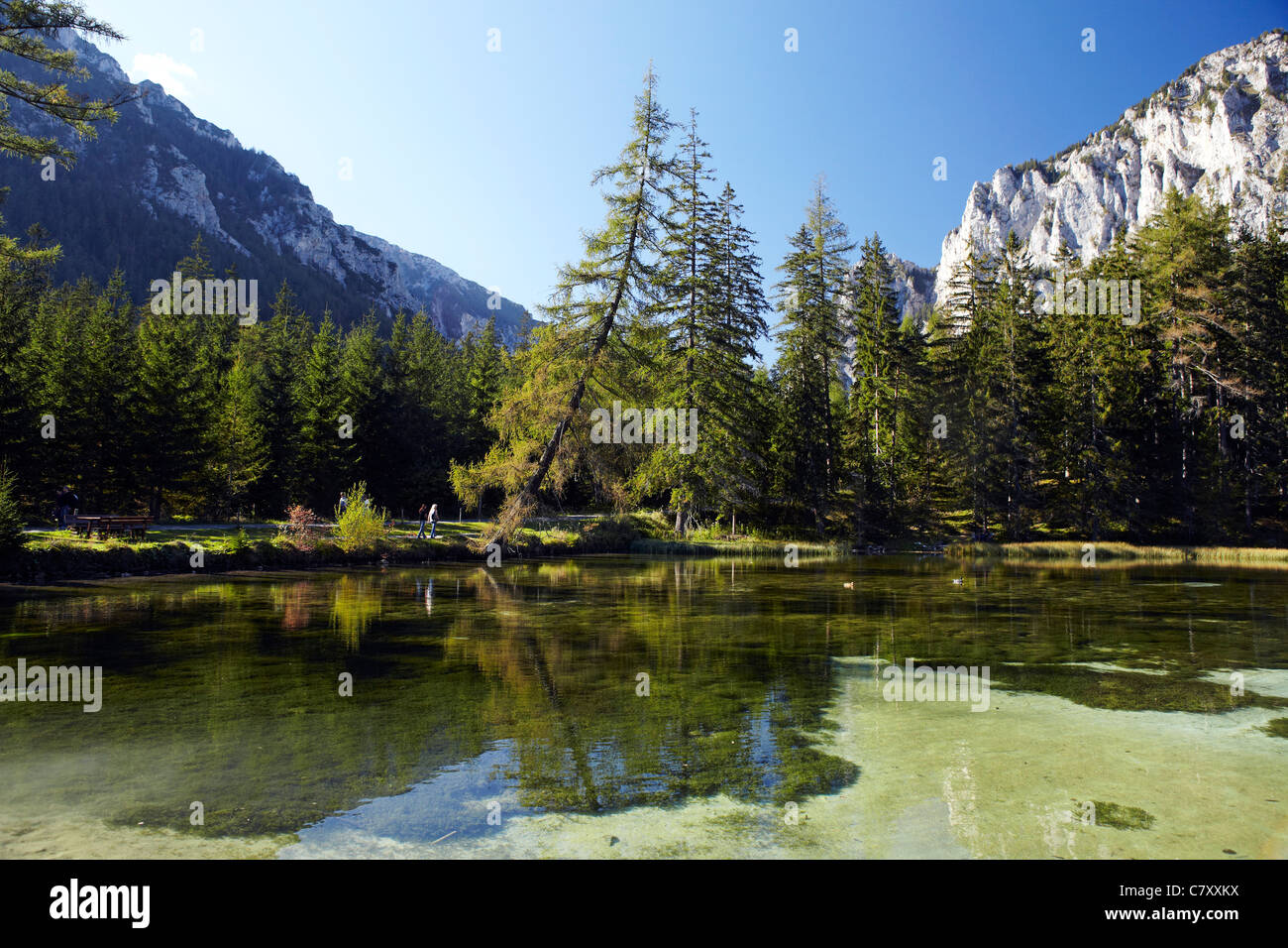Gruner see, green lake, Styria, Austria Stock Photo - Alamy
