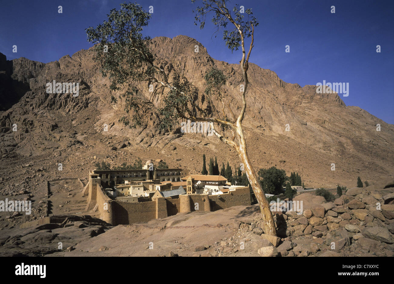 Egypt, Sinai. Saint Catherine's monastery Stock Photo - Alamy