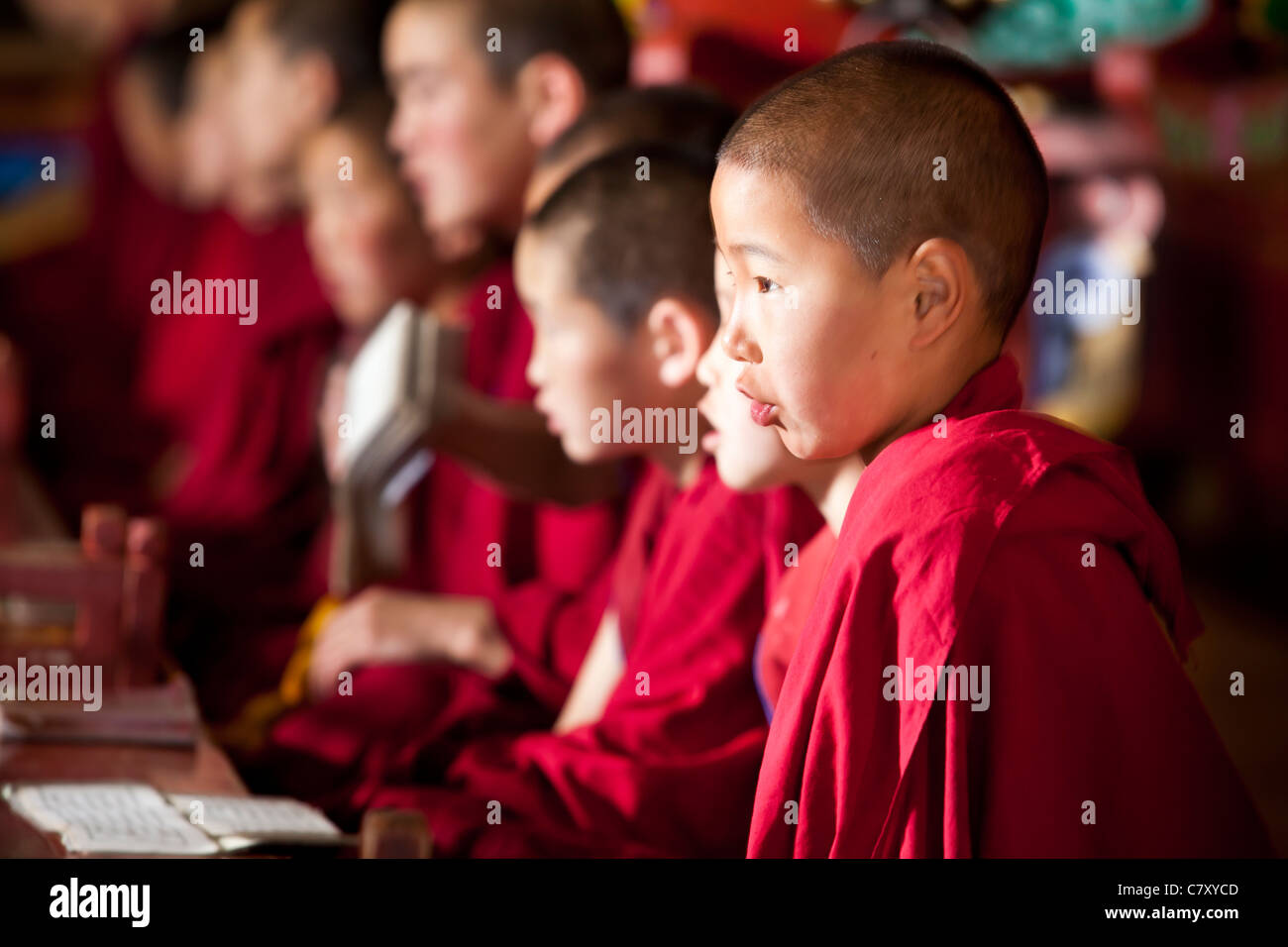 Child monk prey the Buddhist cannon in Amarbayasgalant Monastery ...