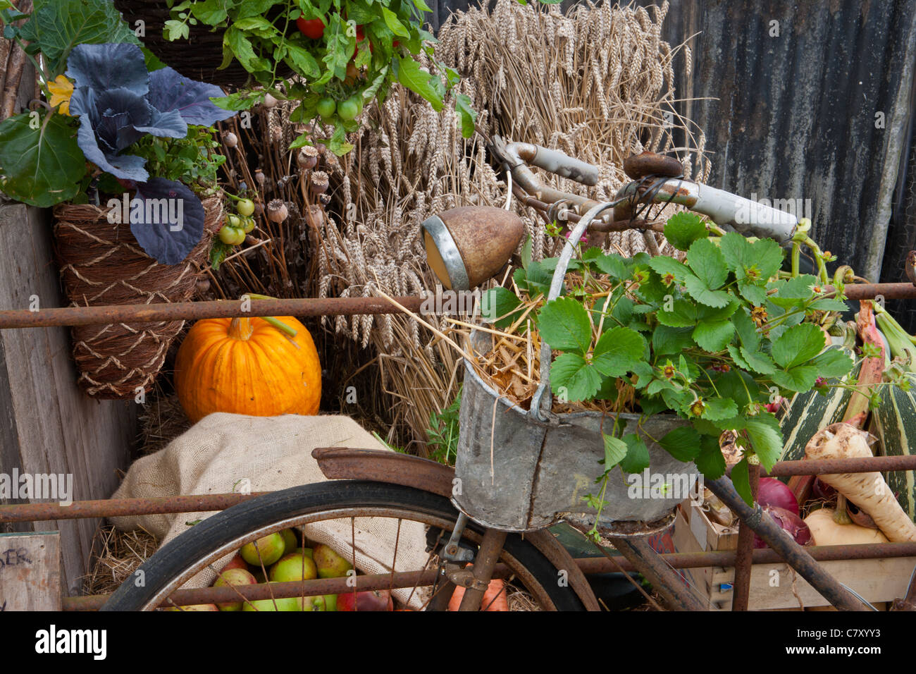 Somerset`s Pride, designer Mark Walker, Walker`s Garden Retreats ...