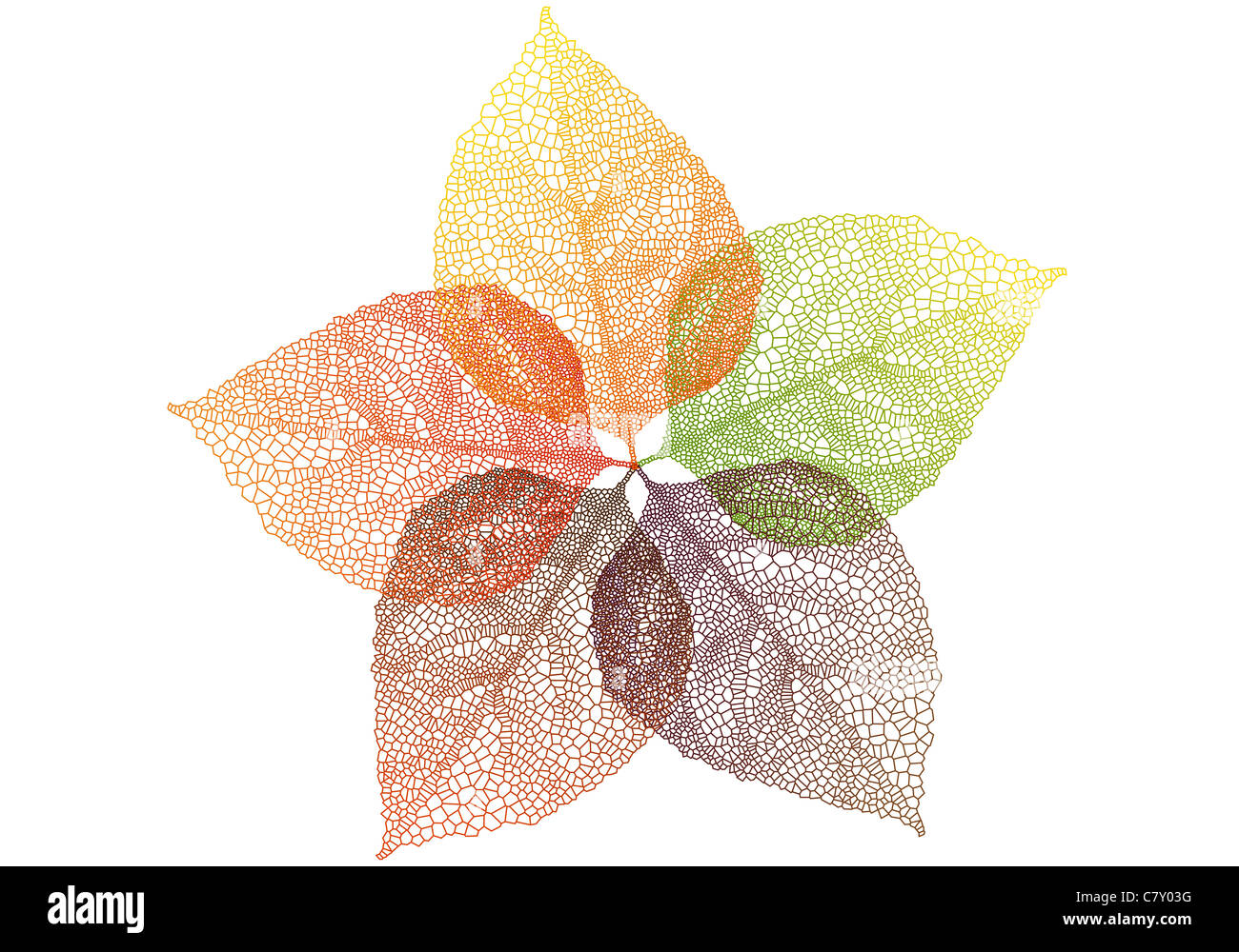 colorful autumn leaves, illustration Stock Photo - Alamy