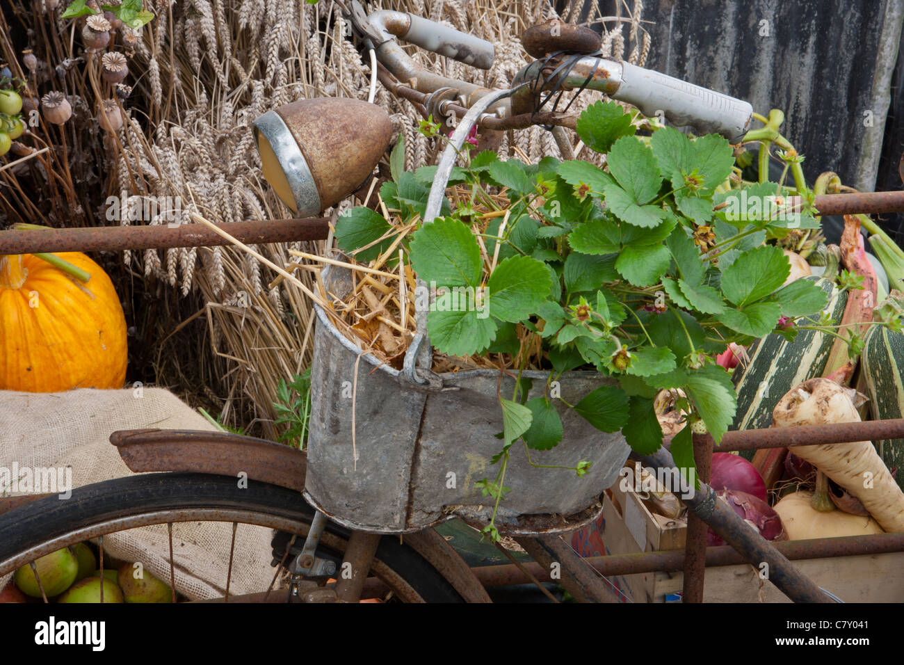 Somerset`s Pride, designer Mark Walker, Walker`s Garden Retreats ...