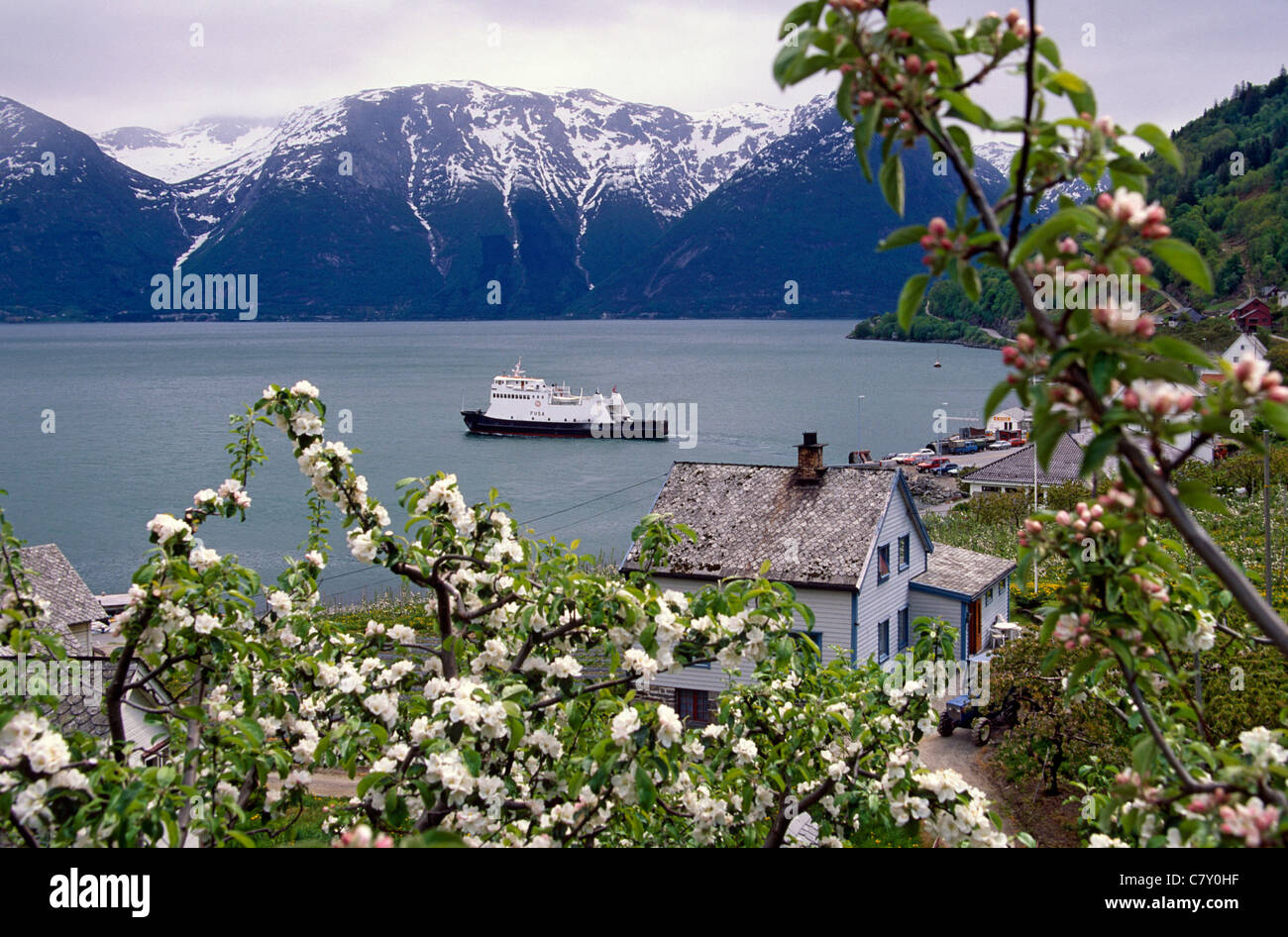 Utne hardangerfjord hi-res stock photography and images - Alamy