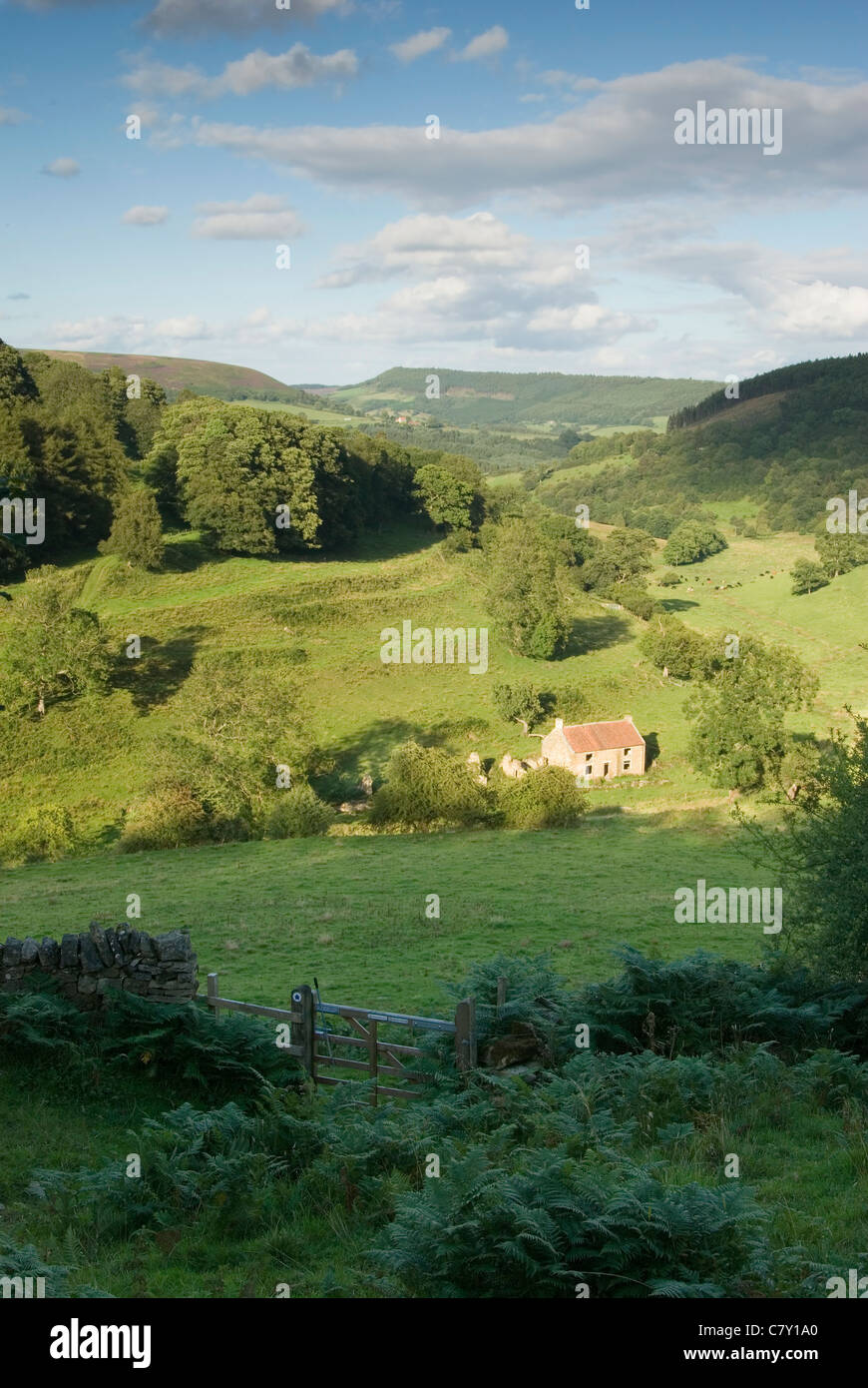A view of upper Ryedale near Hawnby in the North York Moors National ...