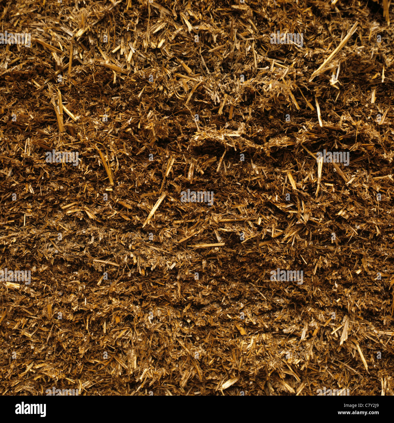 Cut face of a whole wheat crop silage block Stock Photo - Alamy