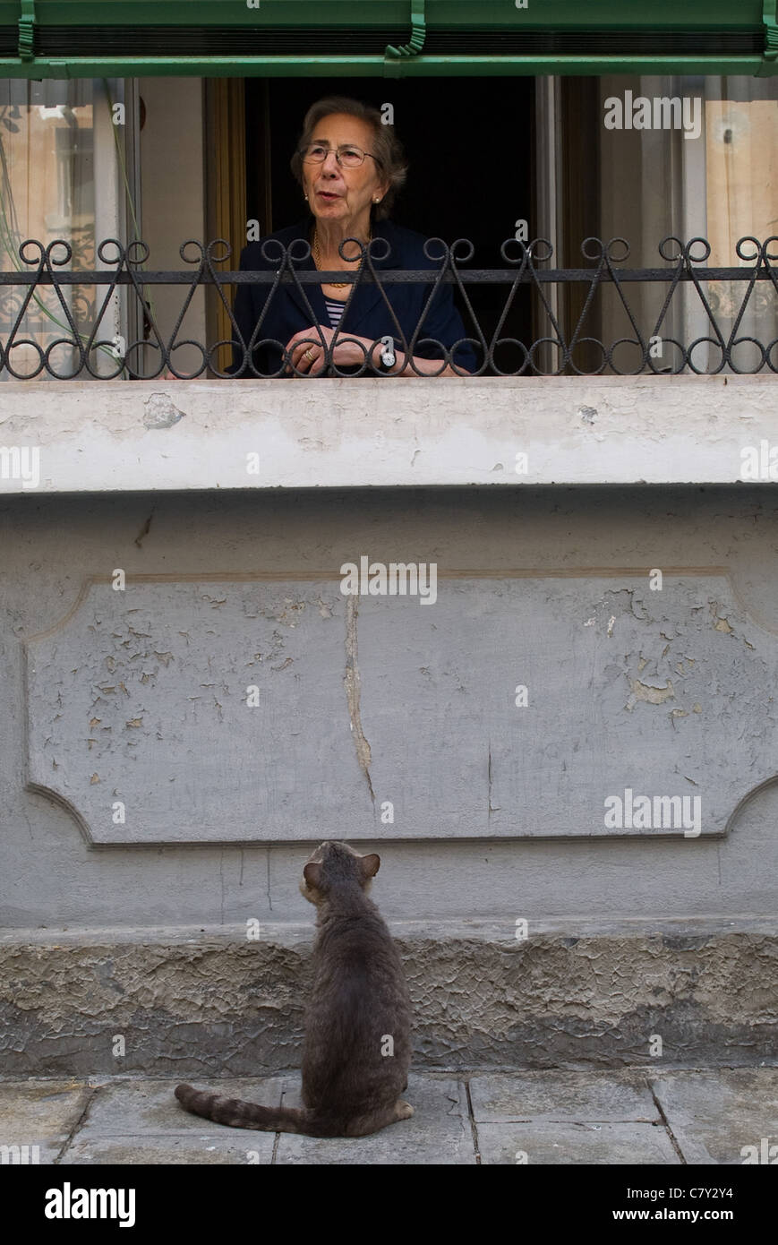 A stray cat looks at a lady n Venice Stock Photo - Alamy