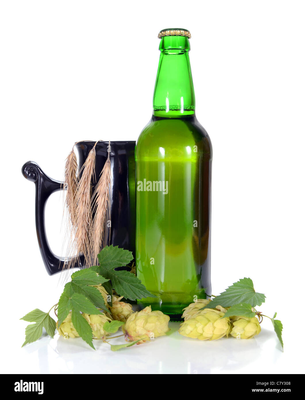 beer and hop isolated on white background Stock Photo - Alamy