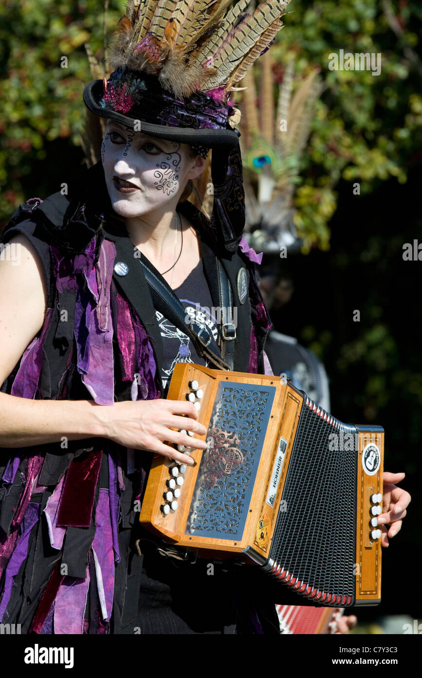 Black faced morris hi-res stock photography and images - Alamy