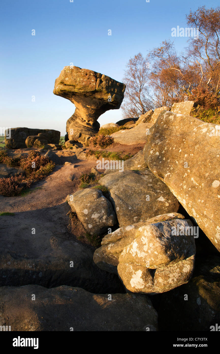The druids writing desk hi-res stock photography and images - Alamy