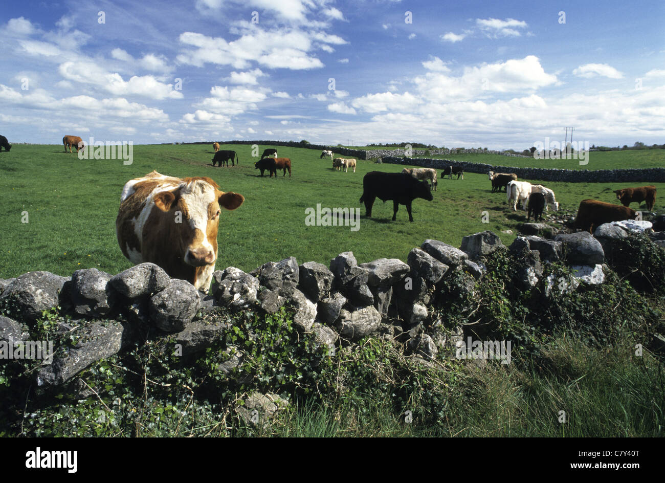 Irish countrysides scenes hi-res stock photography and images - Alamy