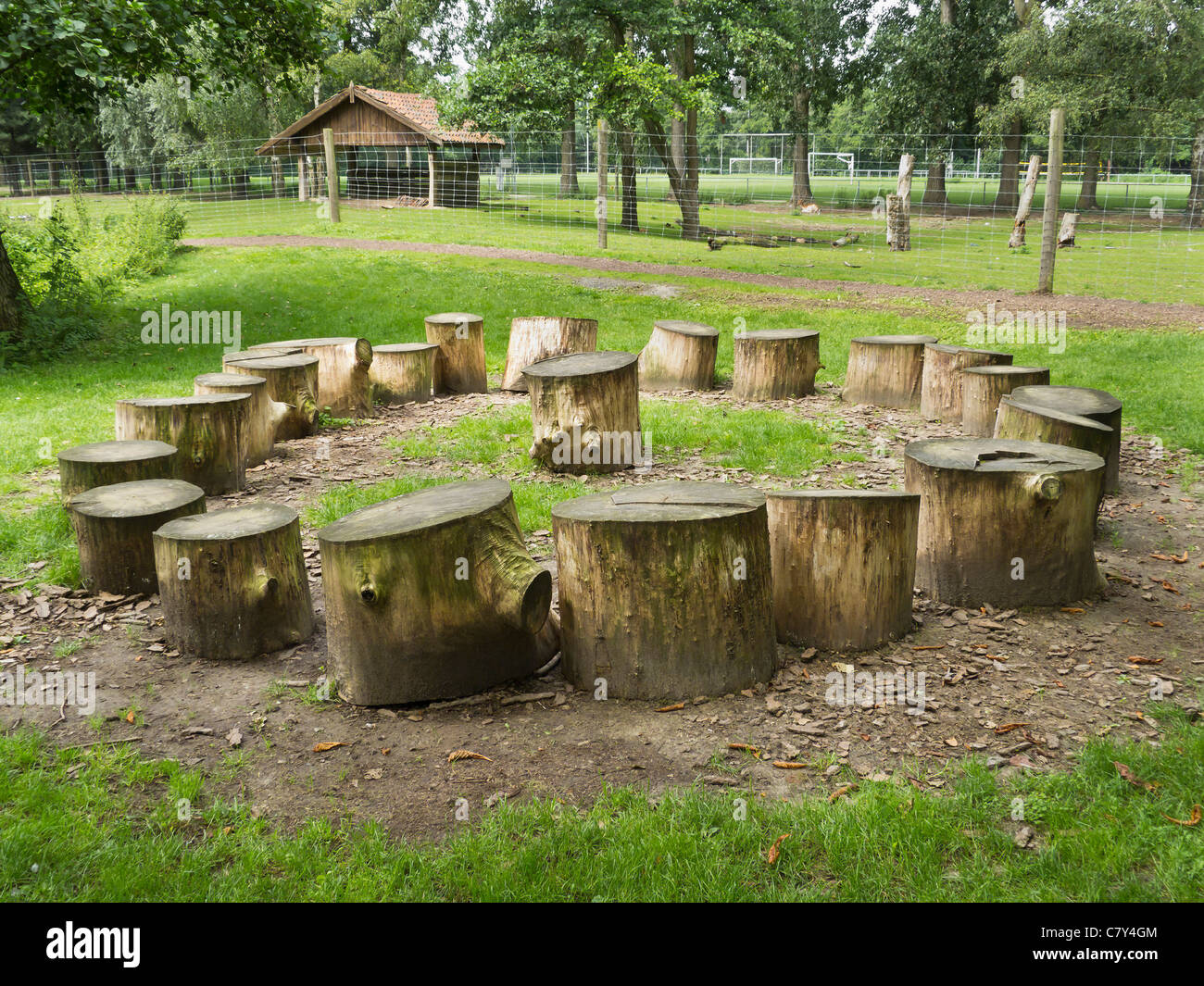 Gather around tree hi-res stock photography and images - Alamy