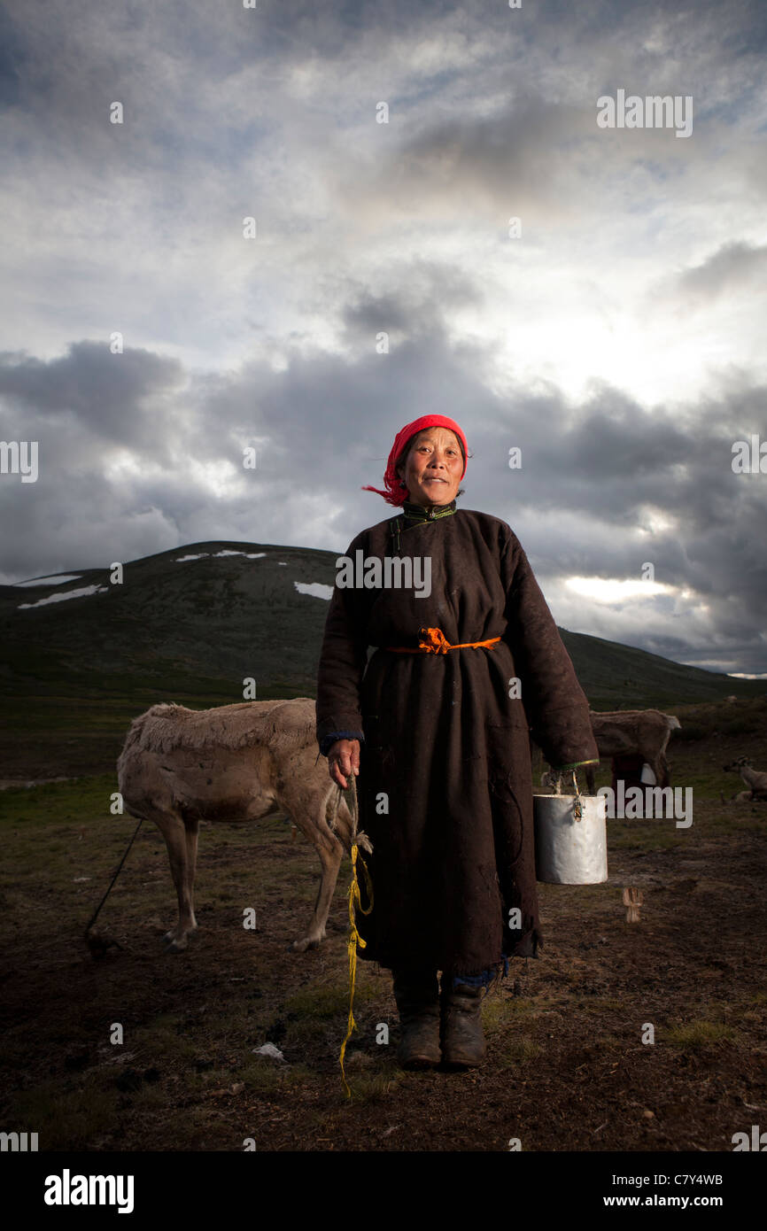 Milking reindeer hi-res stock photography and images - Alamy