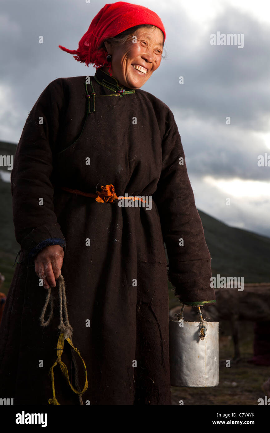 Milking reindeer hi-res stock photography and images - Alamy