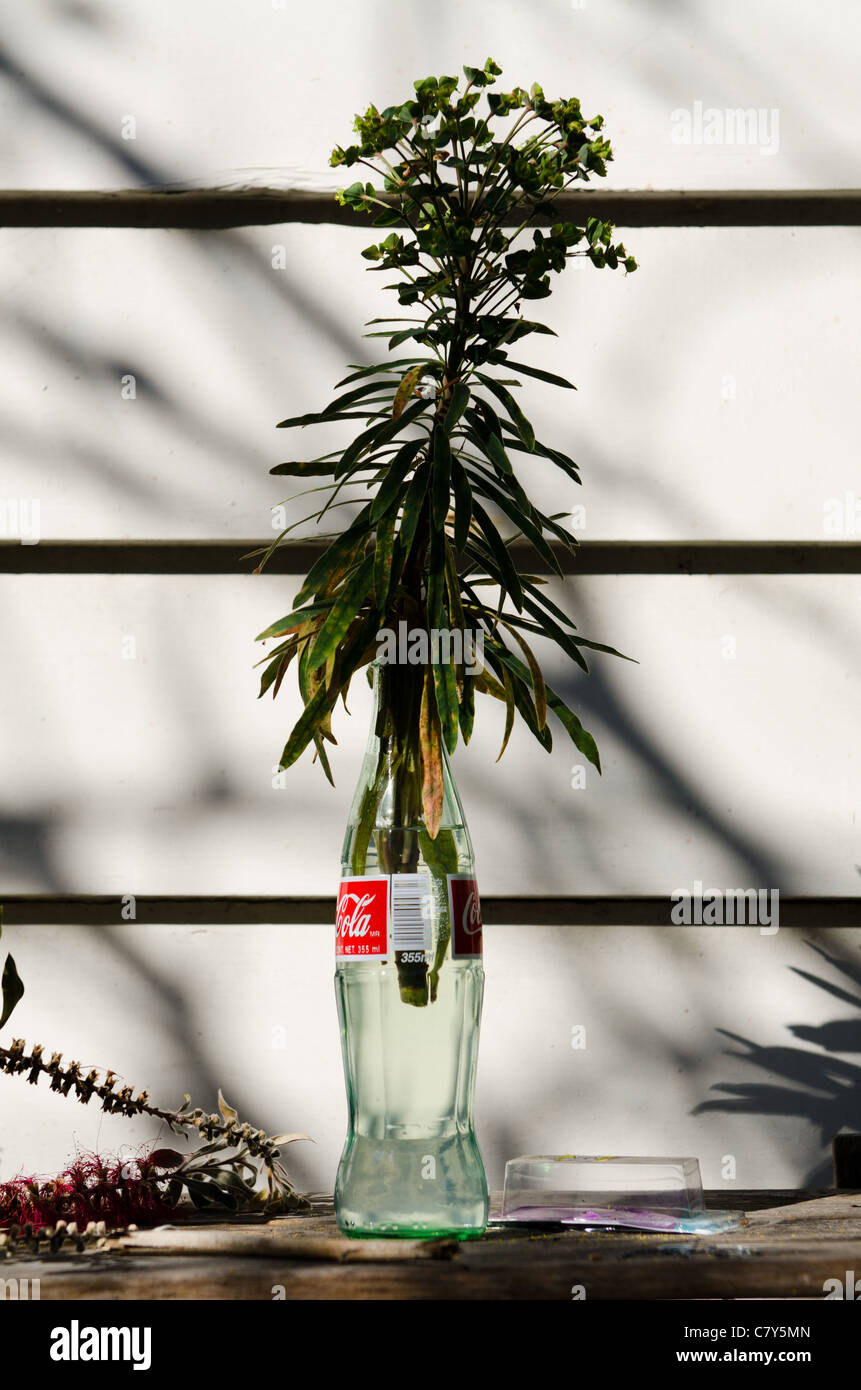 Taking a cutting hi-res stock photography and images - Alamy