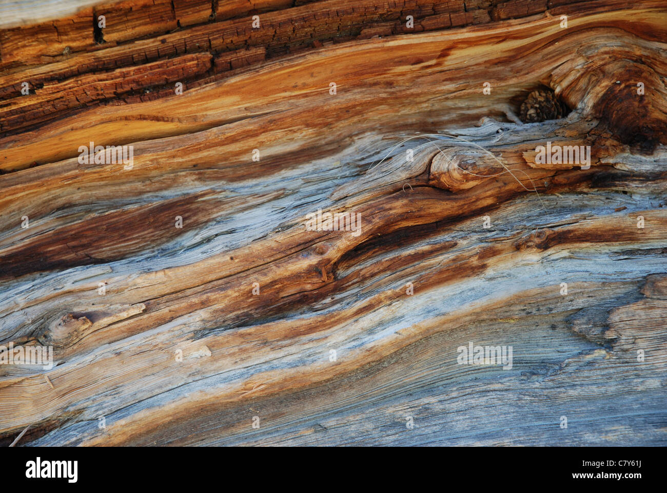 Log knot hi-res stock photography and images - Alamy