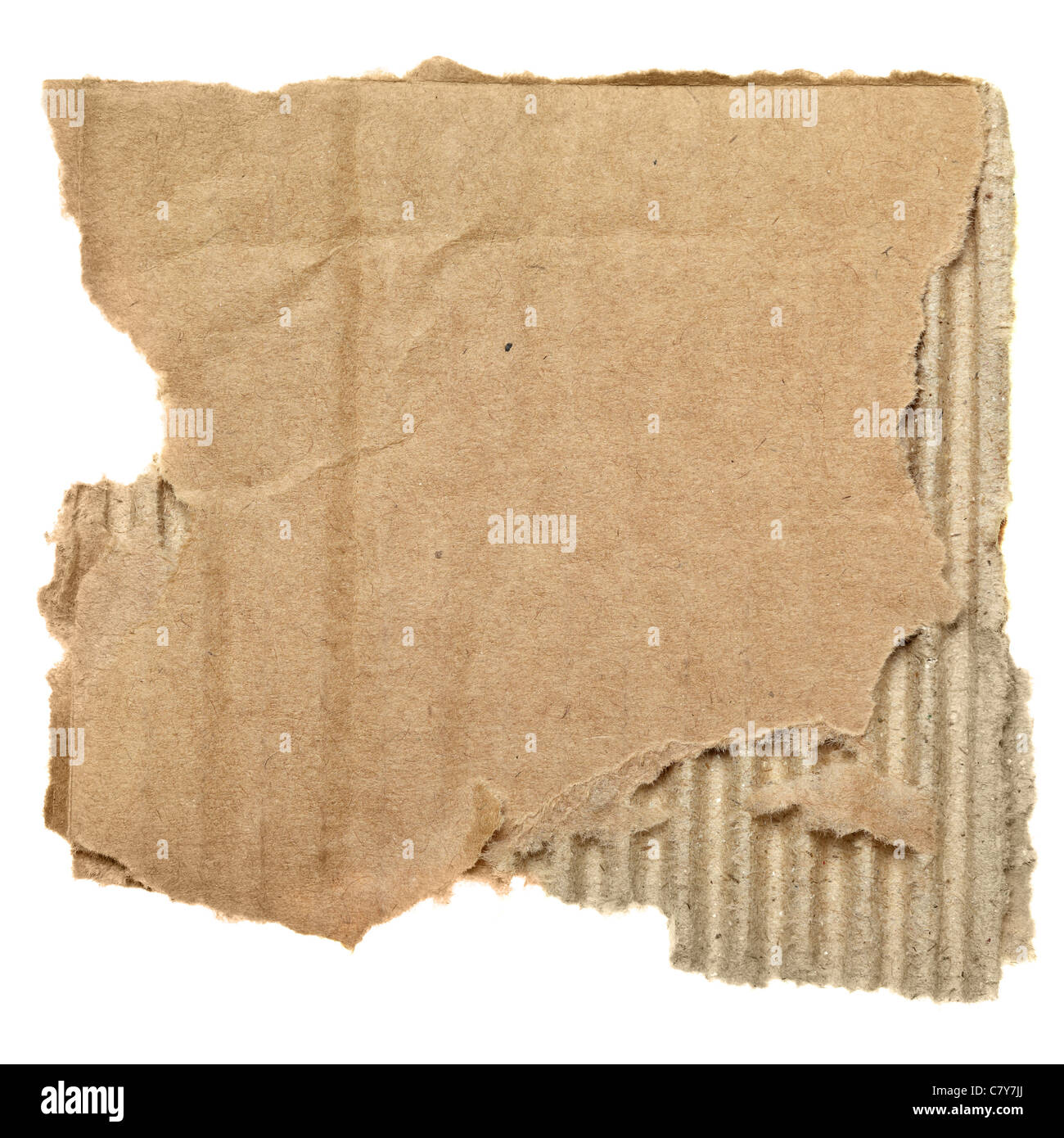 Scrap of cardboard isolated over the white background Stock Photo - Alamy