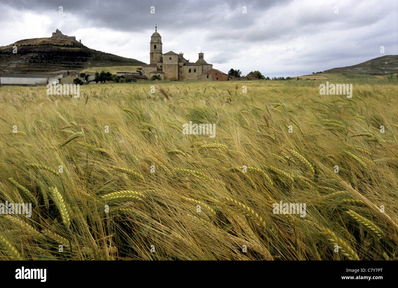 Spain, Galicia, Camino Santiago, Castrojeriz countryside Stock Photo ...
