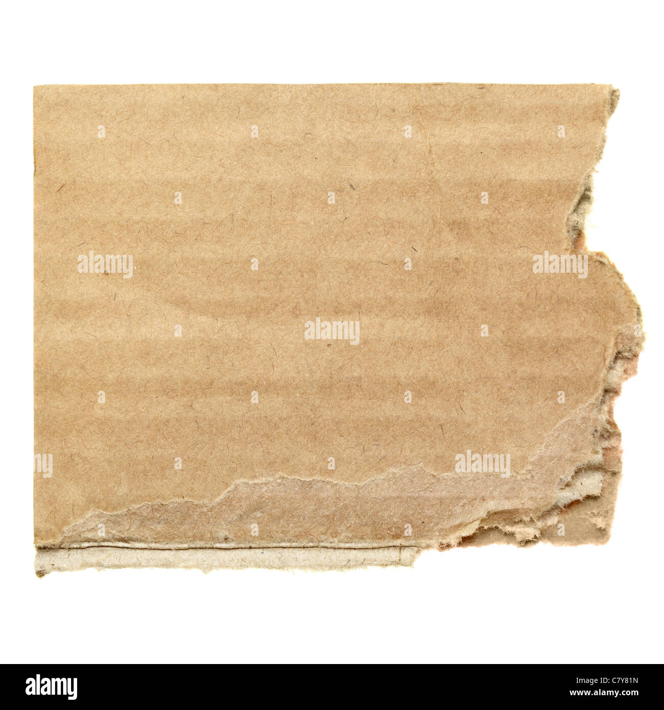 Scrap of cardboard isolated over the white background Stock Photo - Alamy