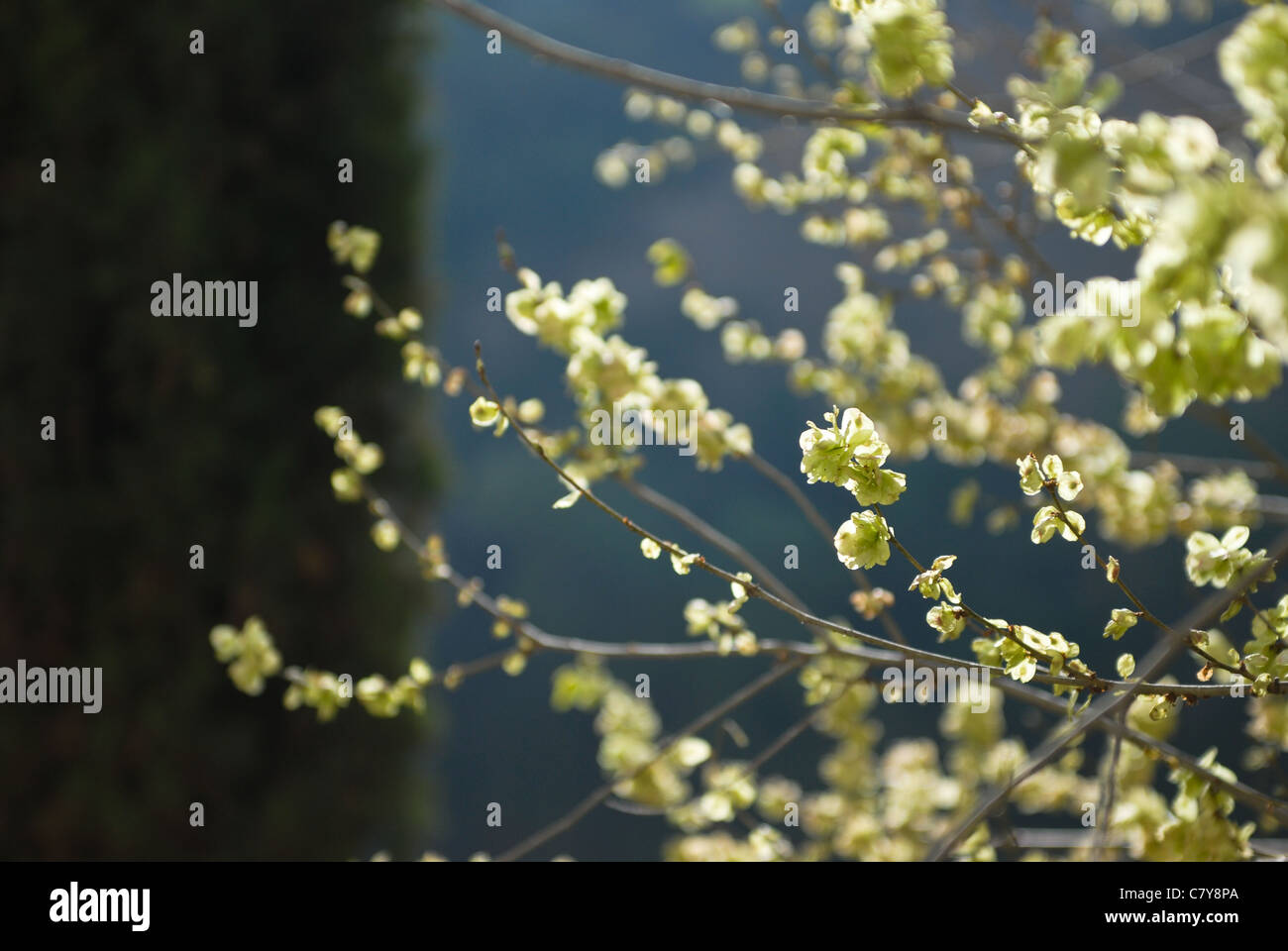 Granada eco hi-res stock photography and images - Alamy