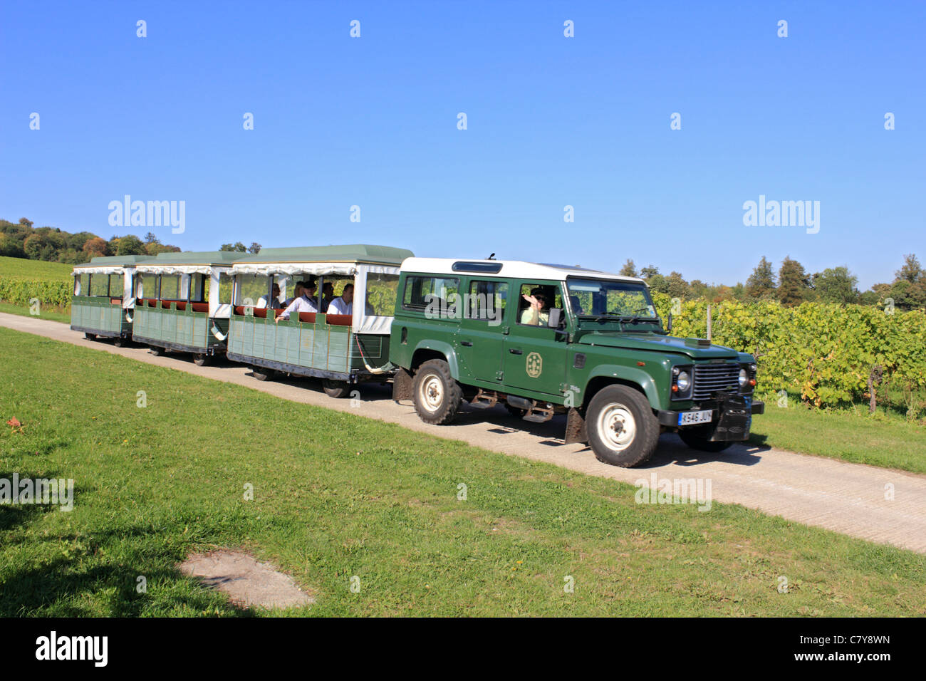 Train tour on Denbies Estate vineyard and winery on the chalk slopes of ...