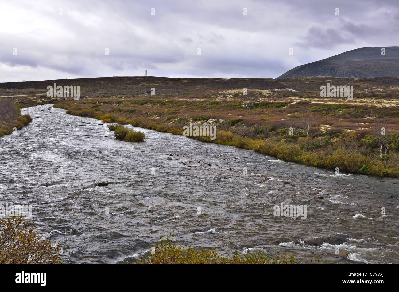 Dovre national park hi-res stock photography and images - Alamy