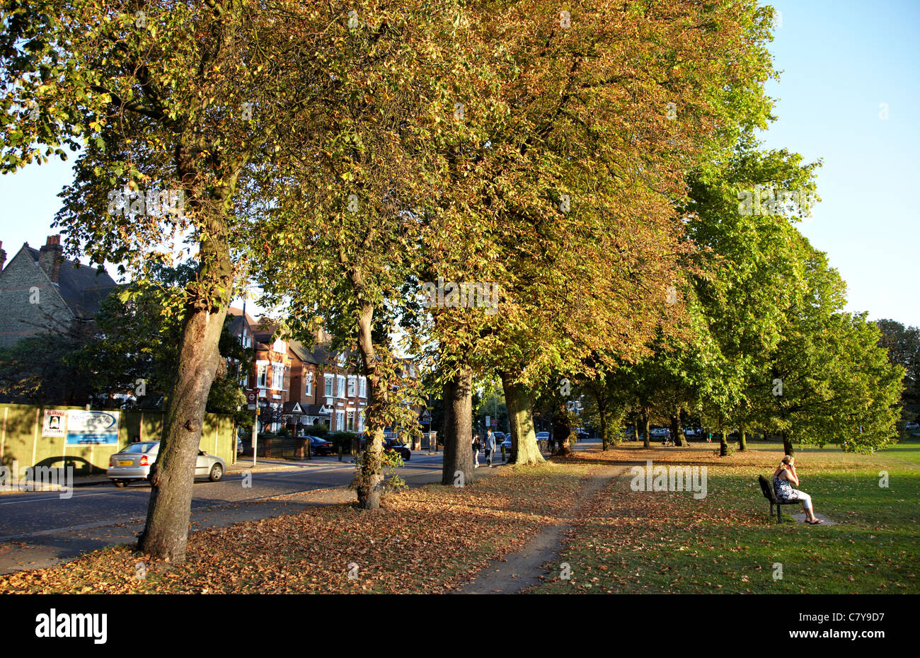 Wandsworth park hi-res stock photography and images - Alamy
