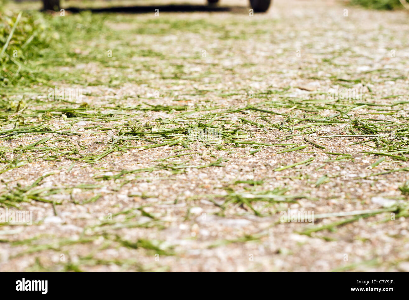 Grass clippings left on lawn hi-res stock photography and images - Alamy