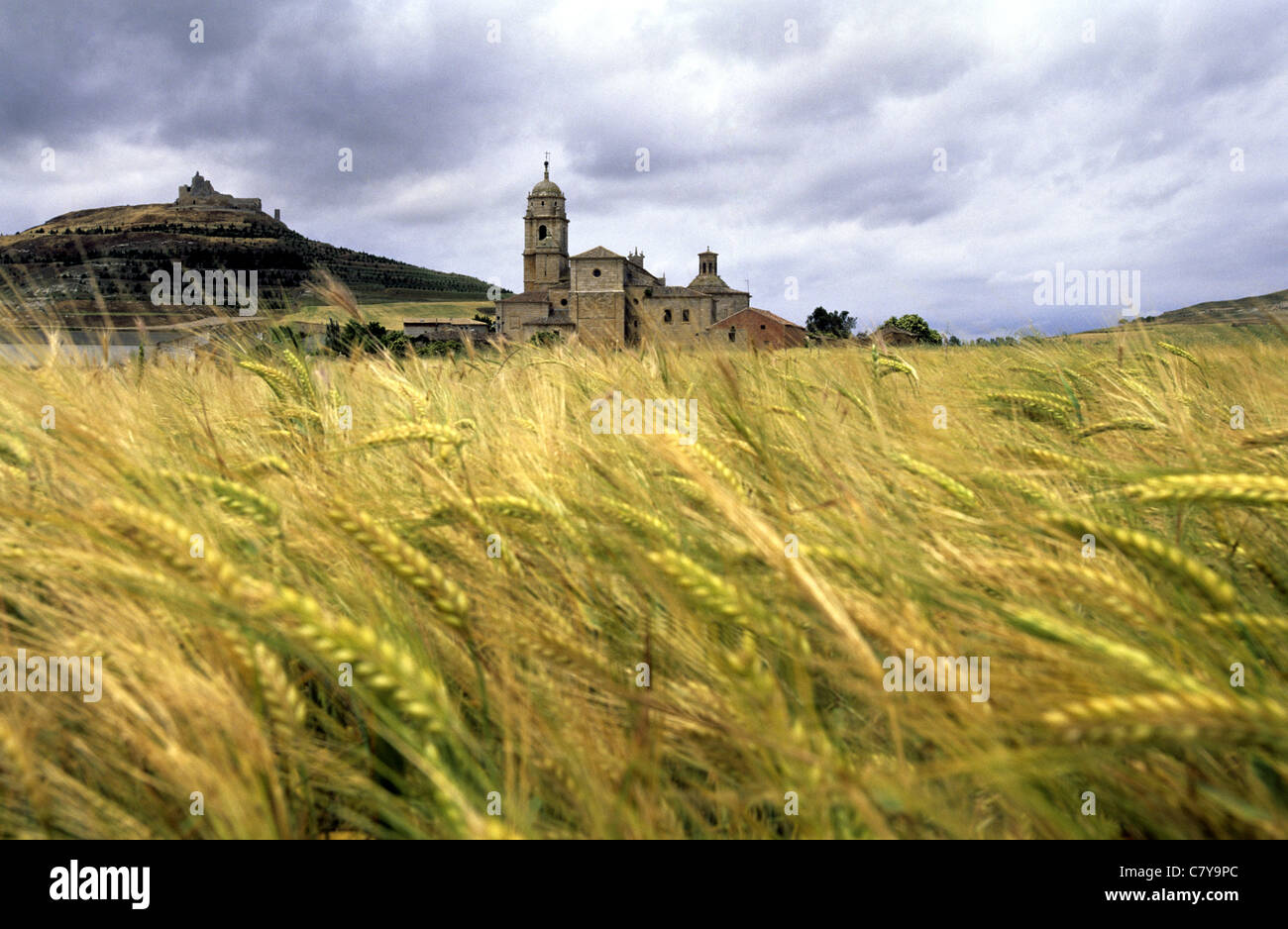 Spain, Galicia, Camino Santiago, Castrojeriz countryside Stock Photo ...