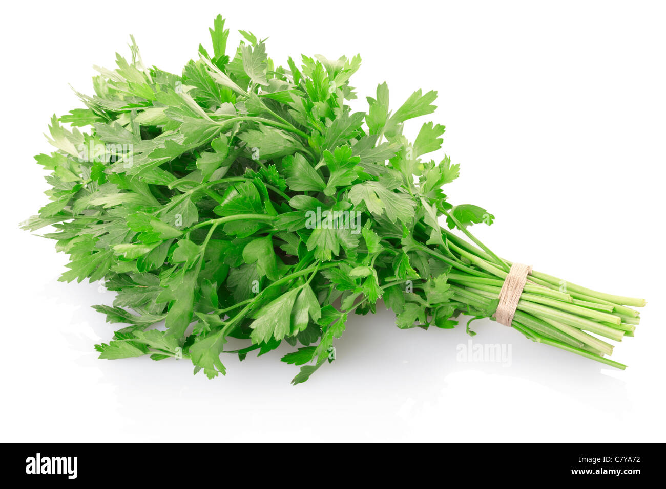 Parsley plant hi-res stock photography and images - Alamy