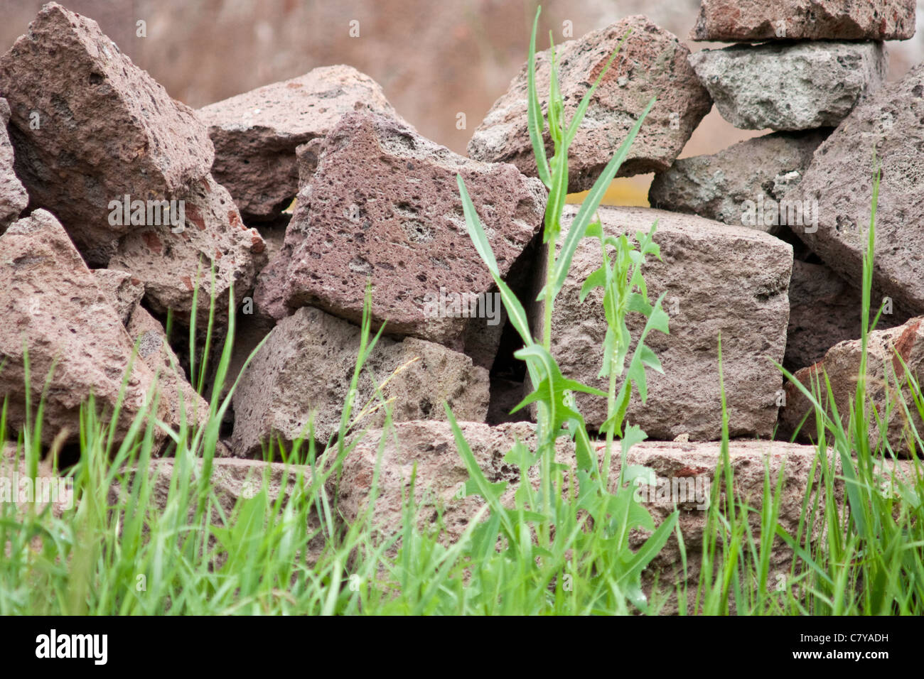 Tufa stone hi-res stock photography and images - Alamy