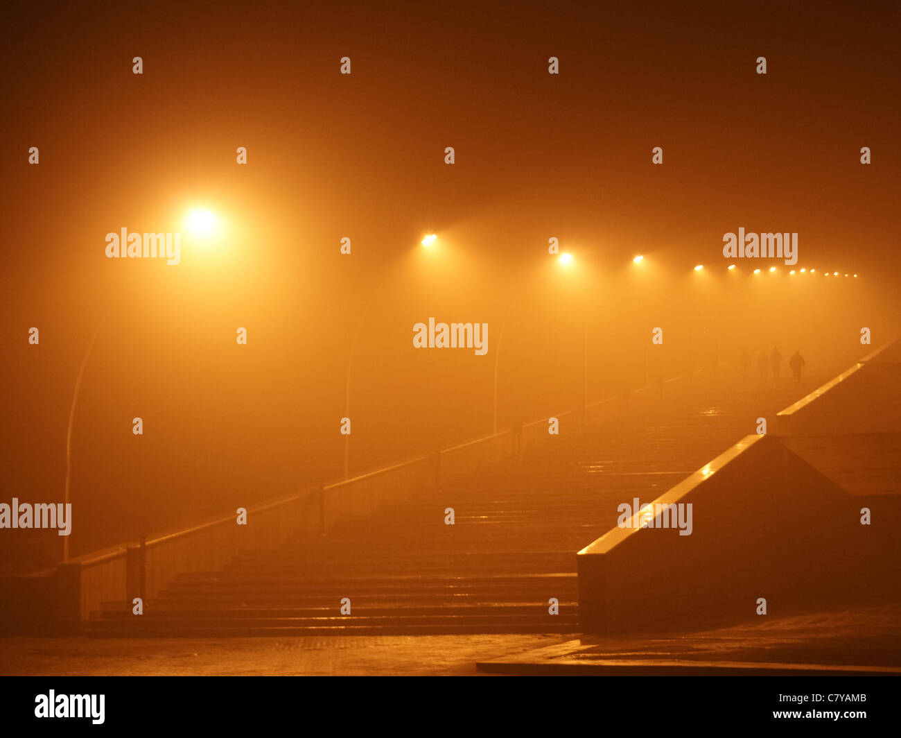 Scattering of magical lights during the hard fog in winter Stock Photo ...