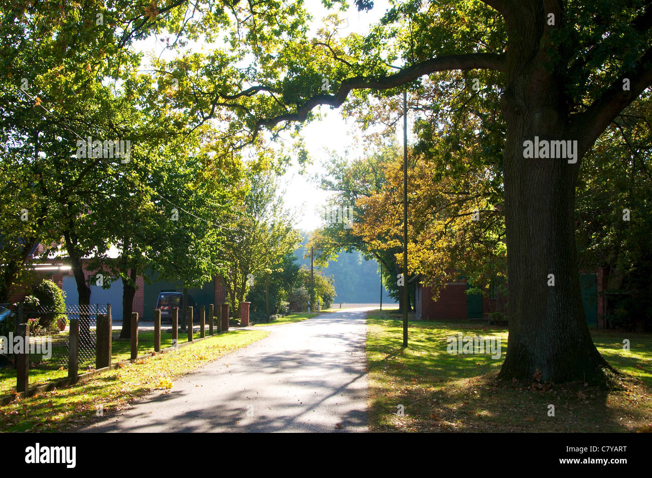 Old oak street hi-res stock photography and images - Alamy