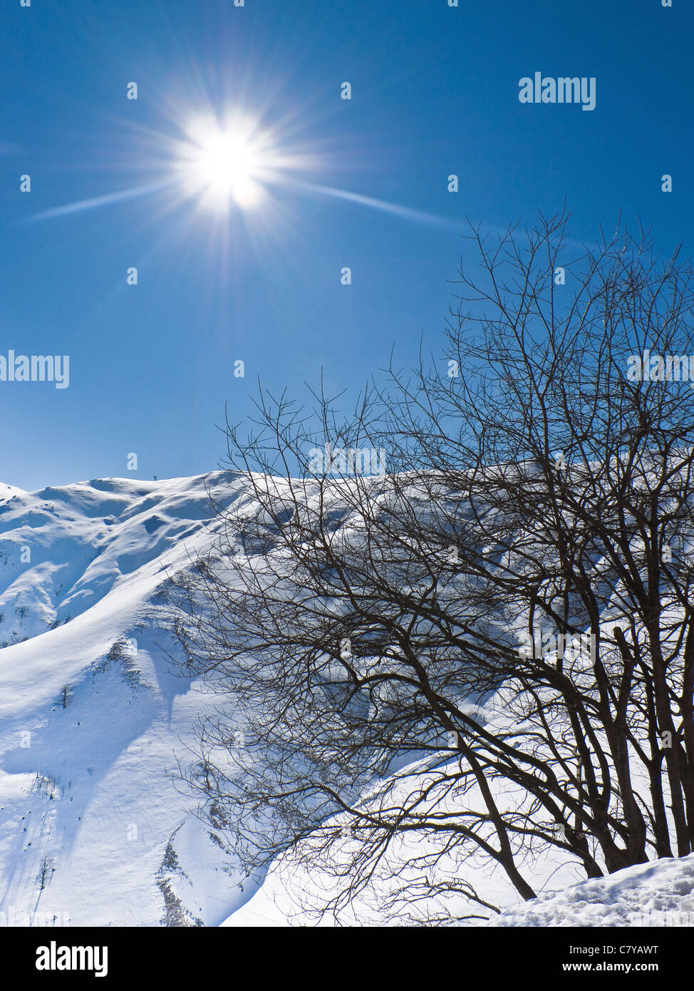 Warming winter sun hi-res stock photography and images - Alamy