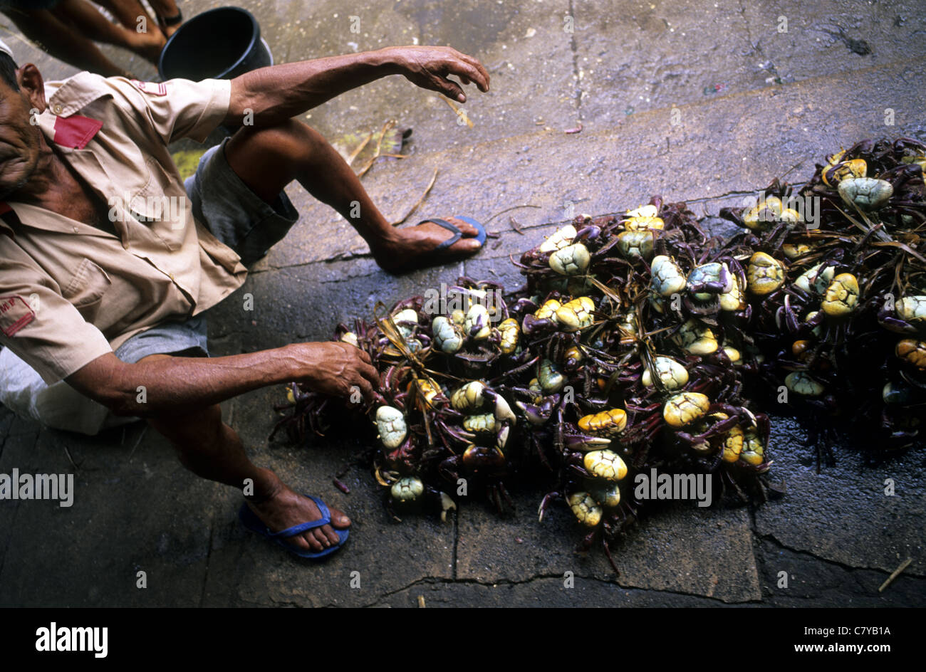 Brazil, Cearà, Camucin Port, crab salesman Stock Photo - Alamy