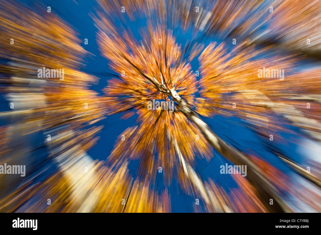 Falling leaves motion hi-res stock photography and images - Alamy