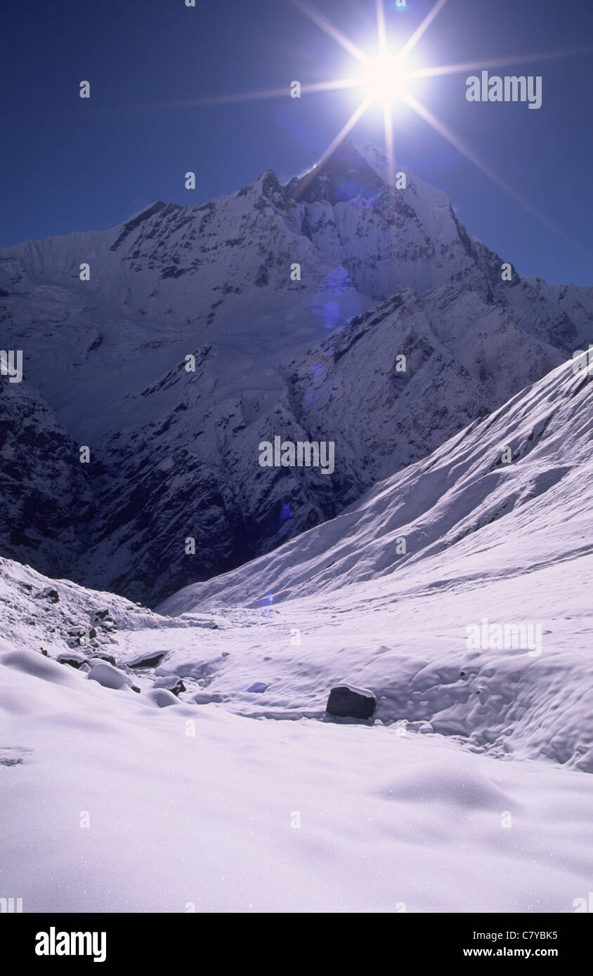 Machhapuchhre Walking High Resolution Stock Photography and Images - Alamy