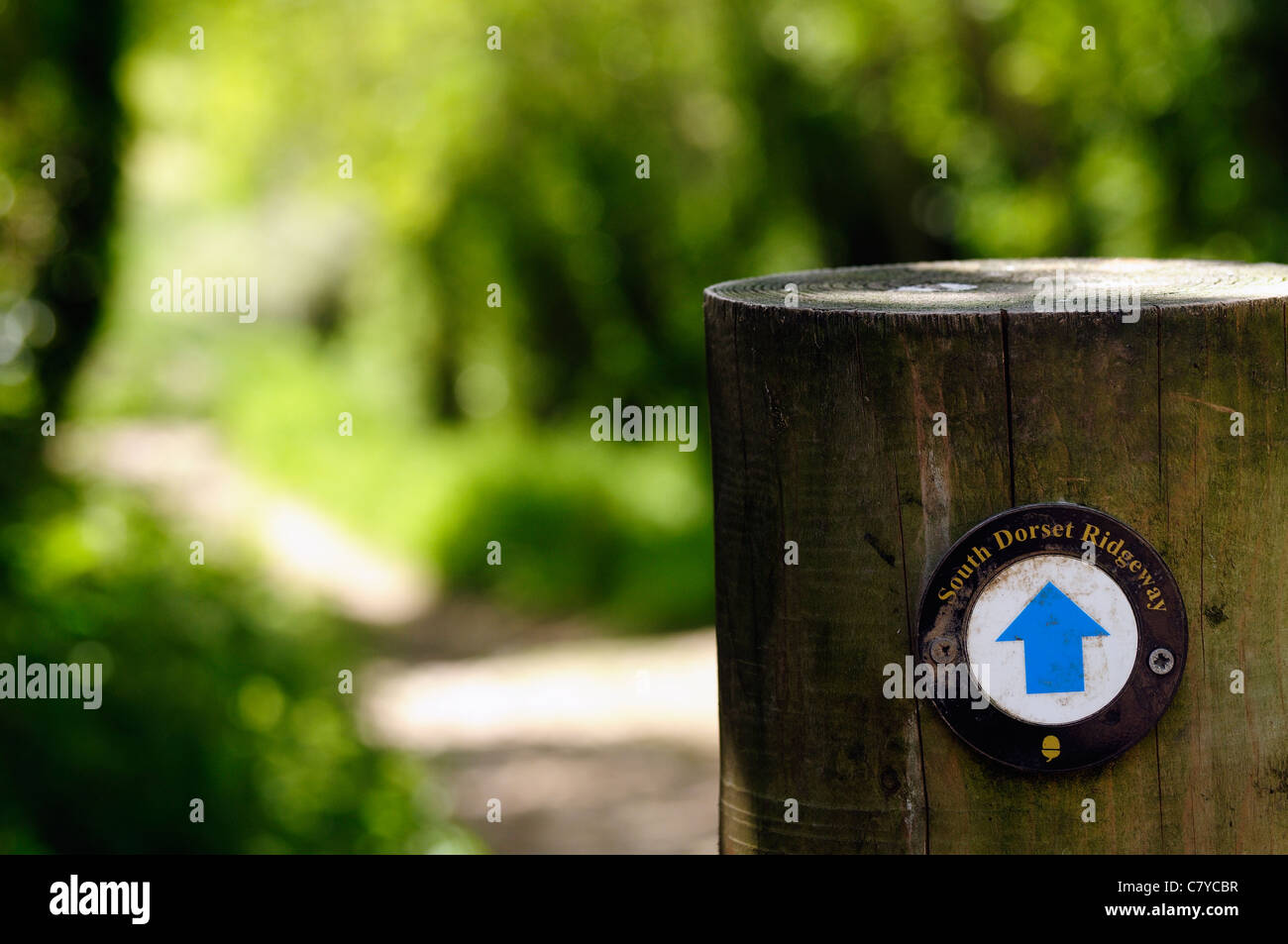 Direction marker indicating route of South Dorset Ridgeway public ...