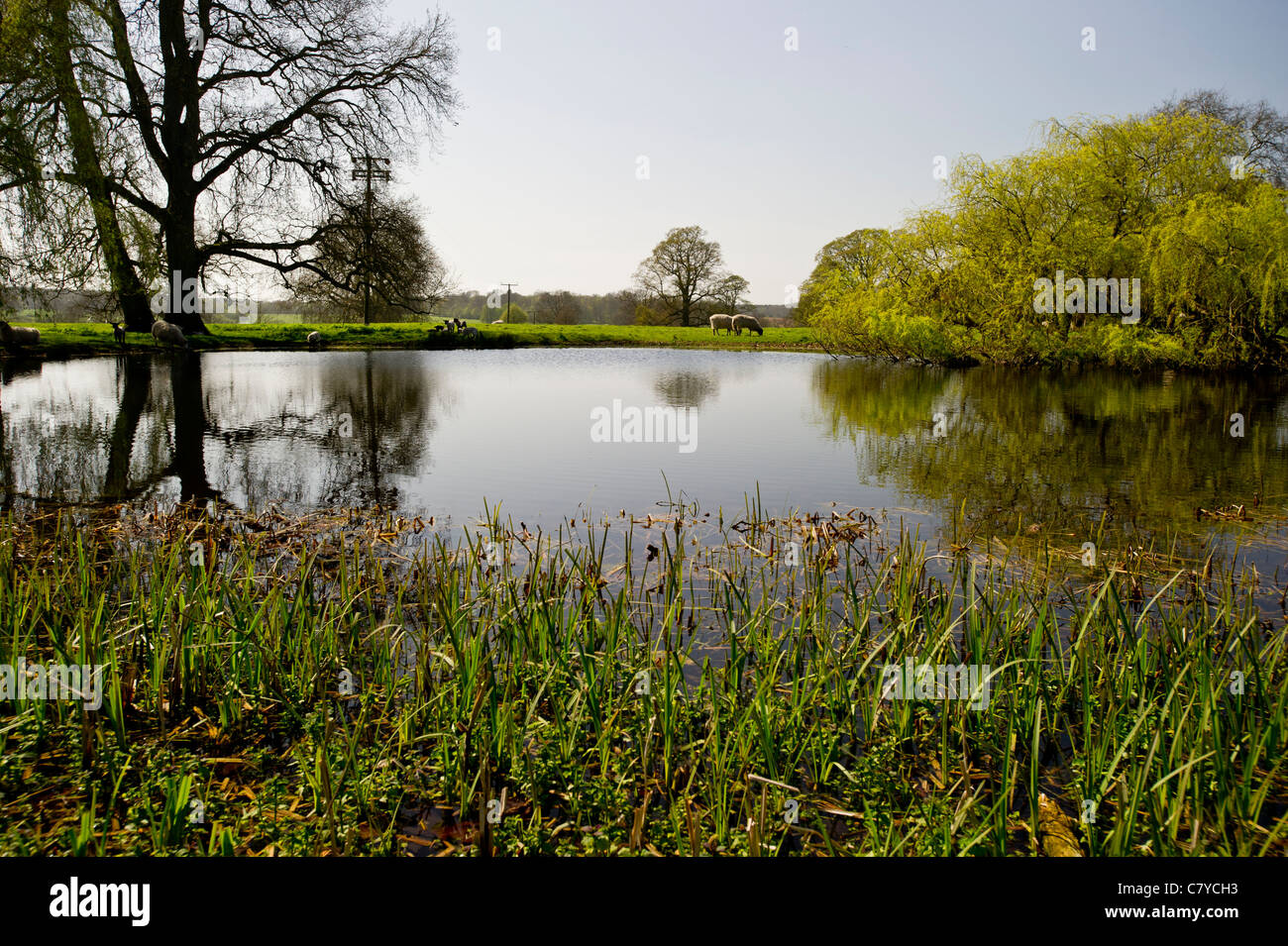 John constable country hi-res stock photography and images - Alamy