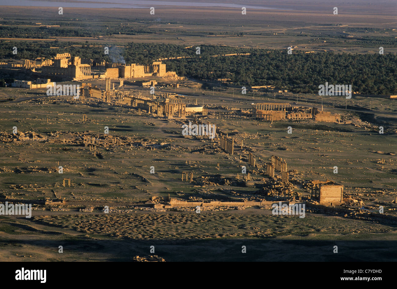 Syria, Palmyra ruins, aerial view Stock Photo - Alamy