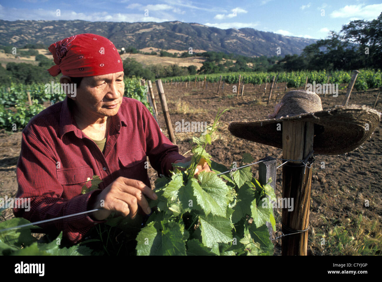 Native americans farming hi-res stock photography and images - Alamy