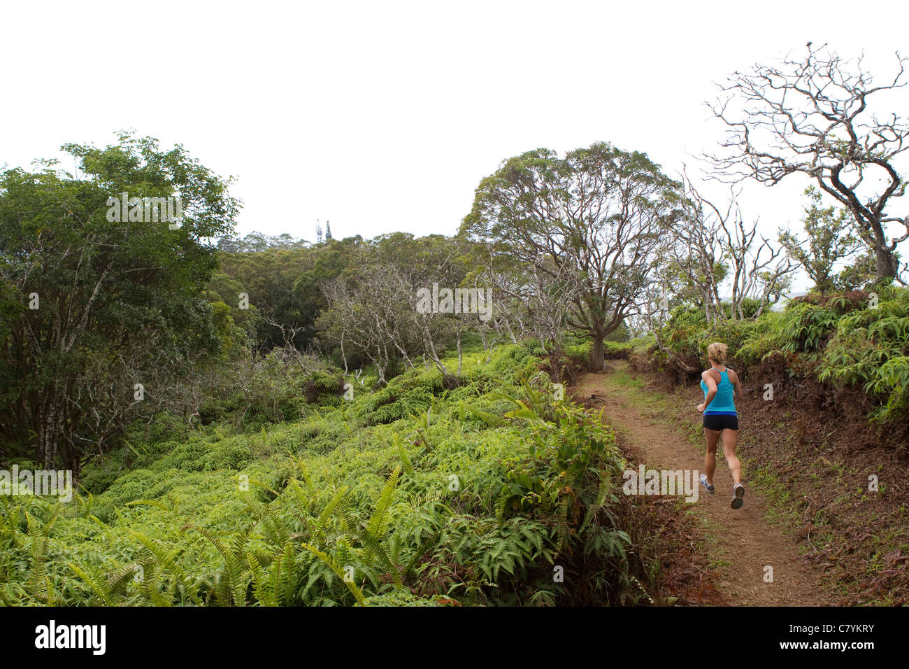A woman running on the Waihee Ridge Trail on Maui Stock Photo - Alamy
