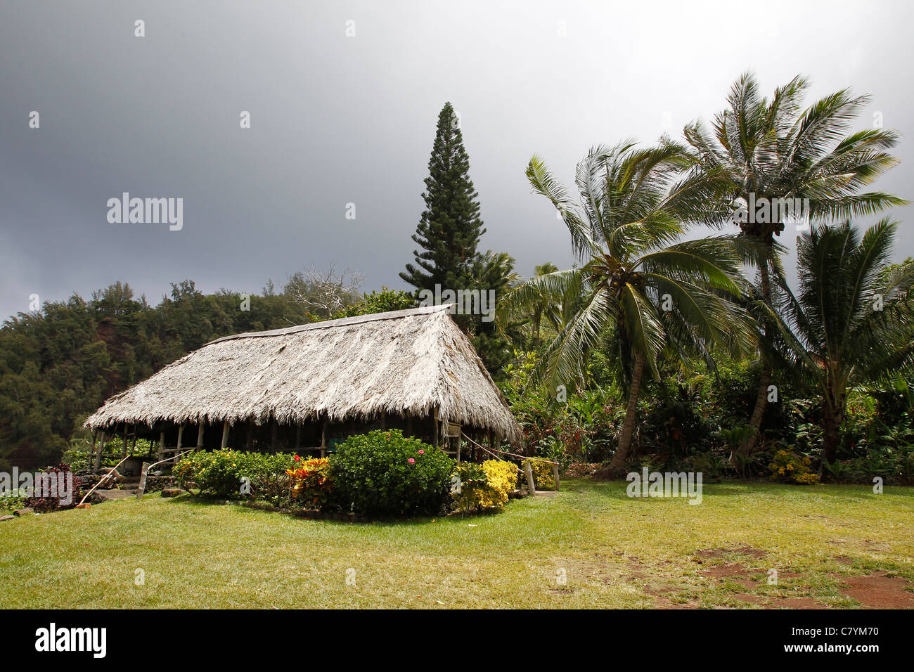 Hut with thatching hi-res stock photography and images - Alamy