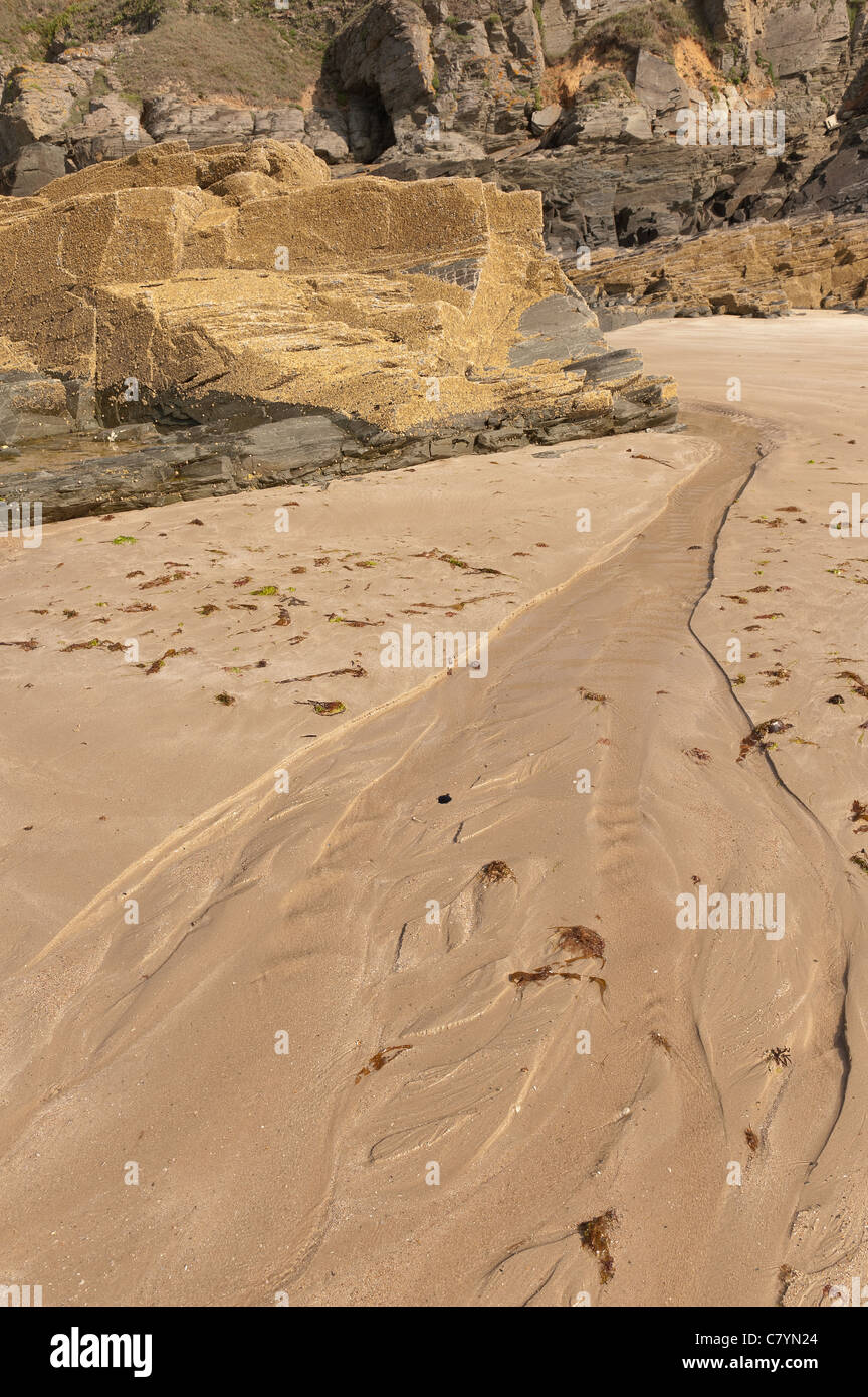 Low tide ripples reflections refraction stream wave patterns in shallow ...