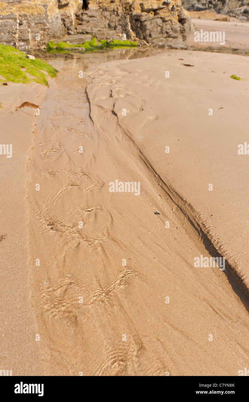 Low tide ripples reflections refraction stream wave patterns in shallow ...