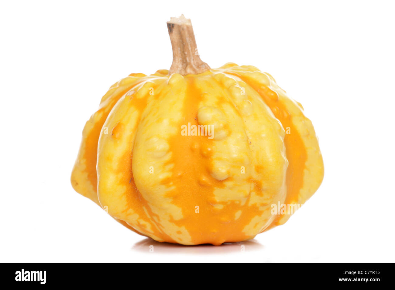 Flying saucer squash hi-res stock photography and images - Alamy
