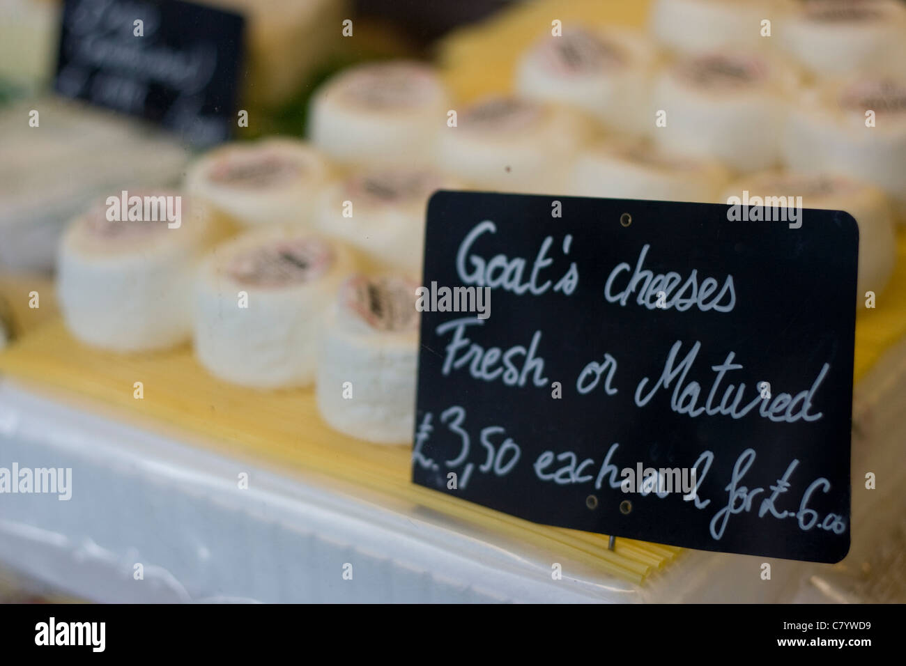 Goats cheese at Cheltenham Continental Market Stock Photo - Alamy