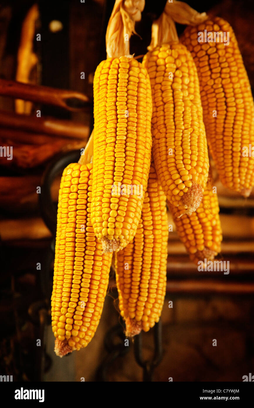 Agriculturas hi-res stock photography and images - Alamy