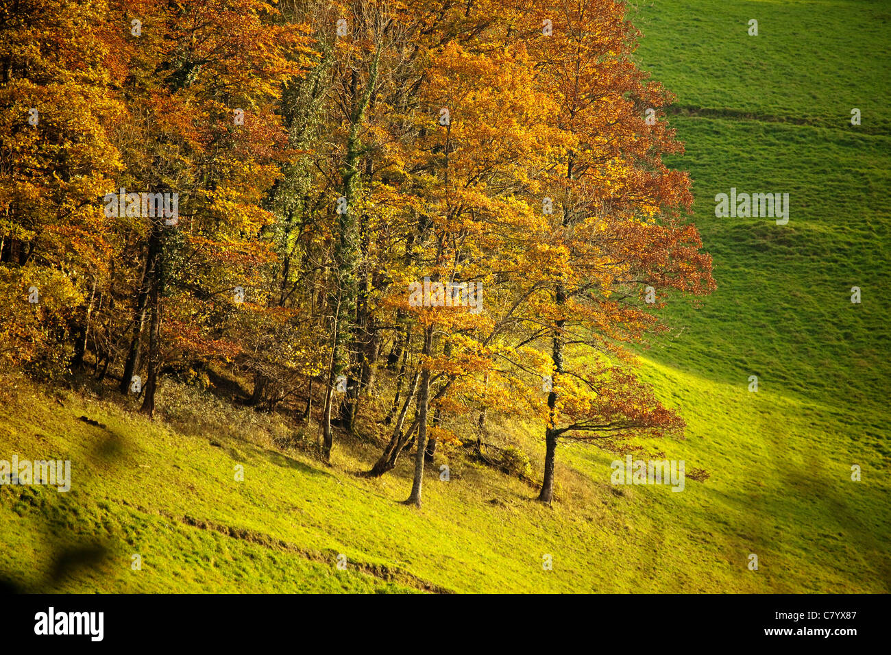 Autumn Landscape Natural Park Saja Nansa Cantabria Spain Stock Photo ...