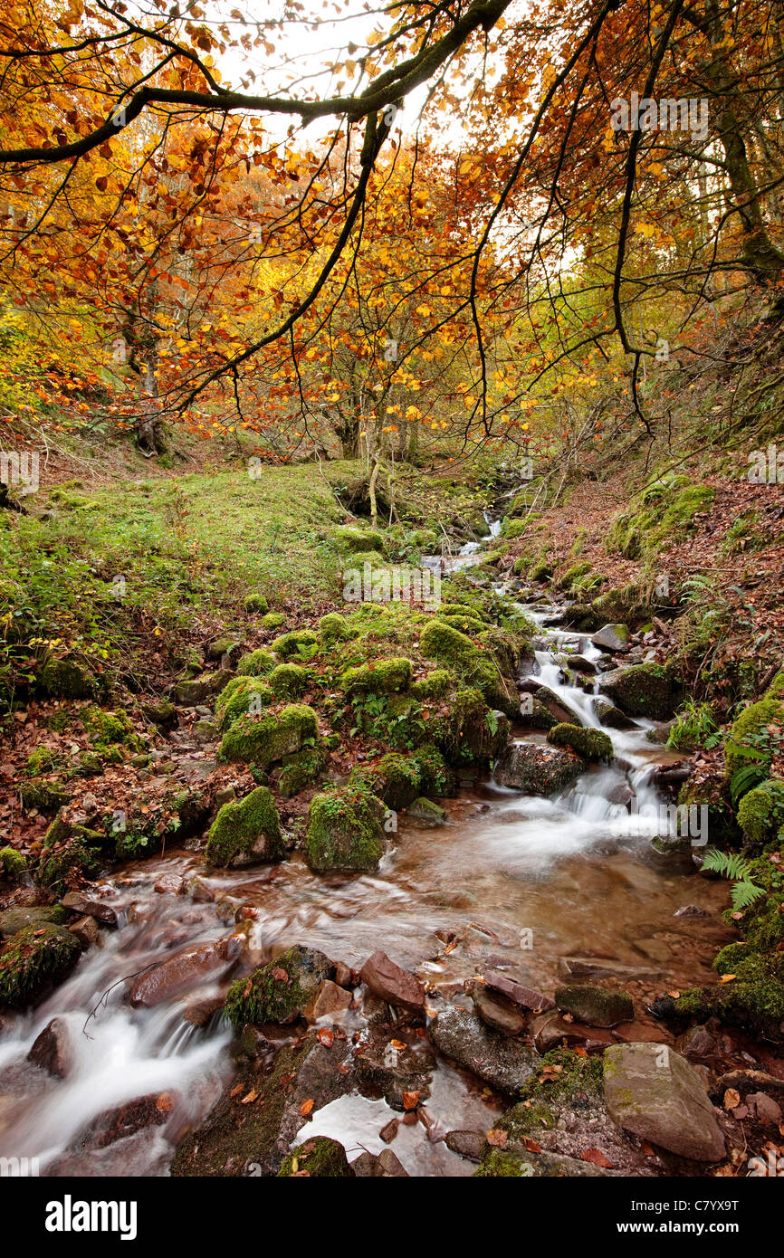 Nansa river hi-res stock photography and images - Alamy