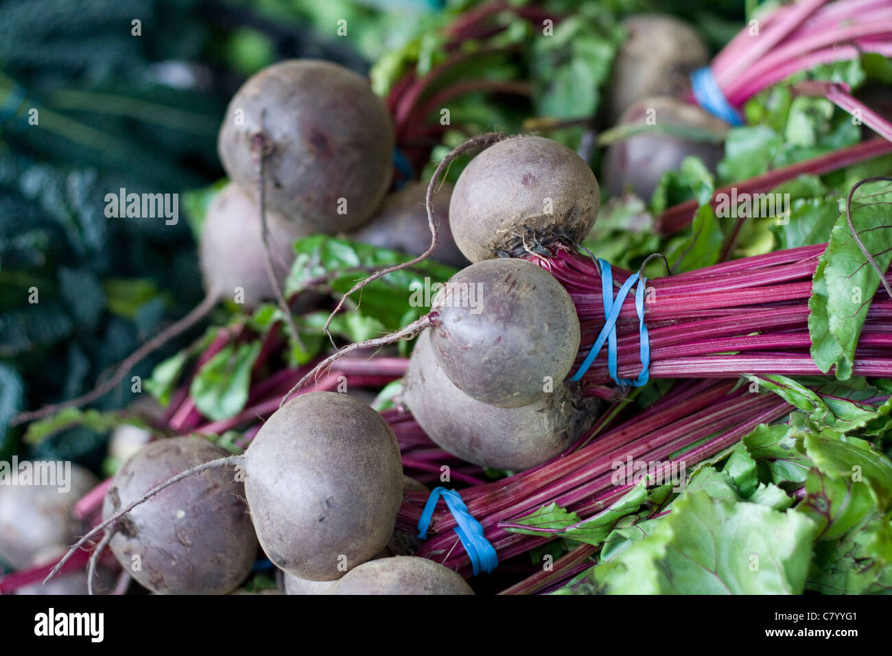 Bunches of beetroot at Cheltenham Farmers Market Stock Photo - Alamy
